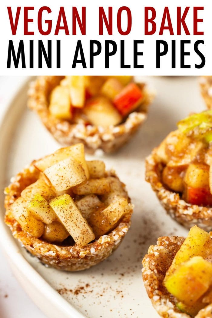Raw Mini Apple Pies - Eating Bird Food