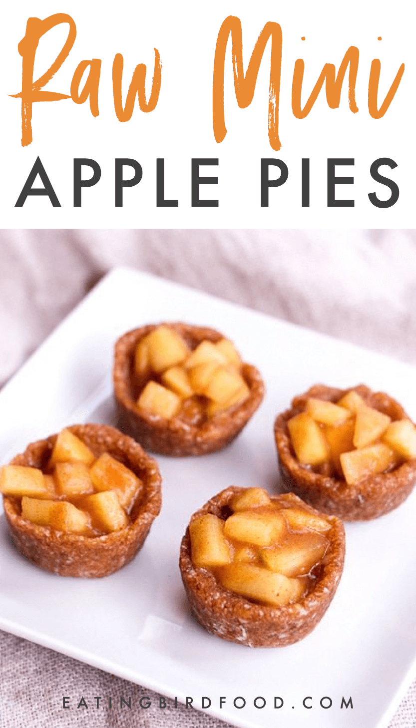 Raw Mini Apple Pies - Eating Bird Food
