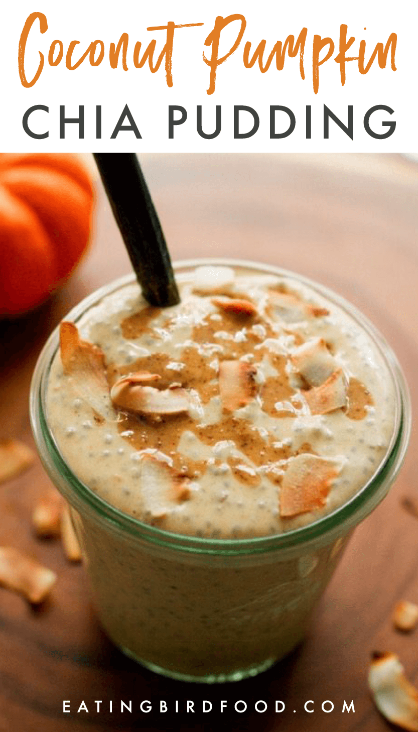 Pumpkin Chia Pudding - Eating Bird Food