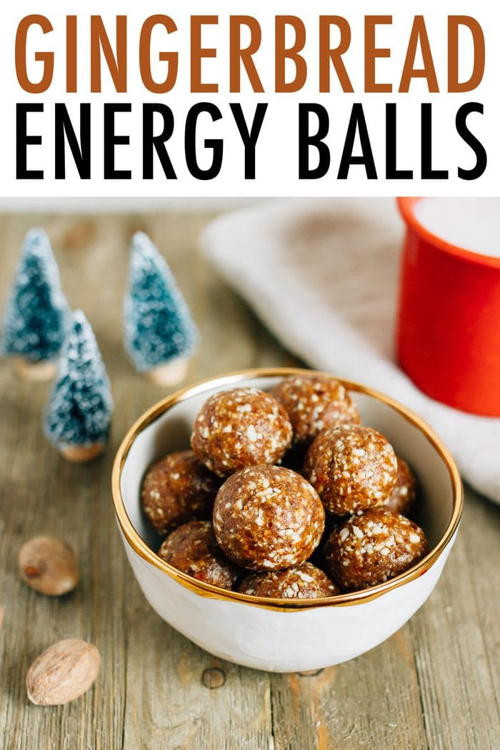 Gingerbread Energy Balls - Eating Bird Food