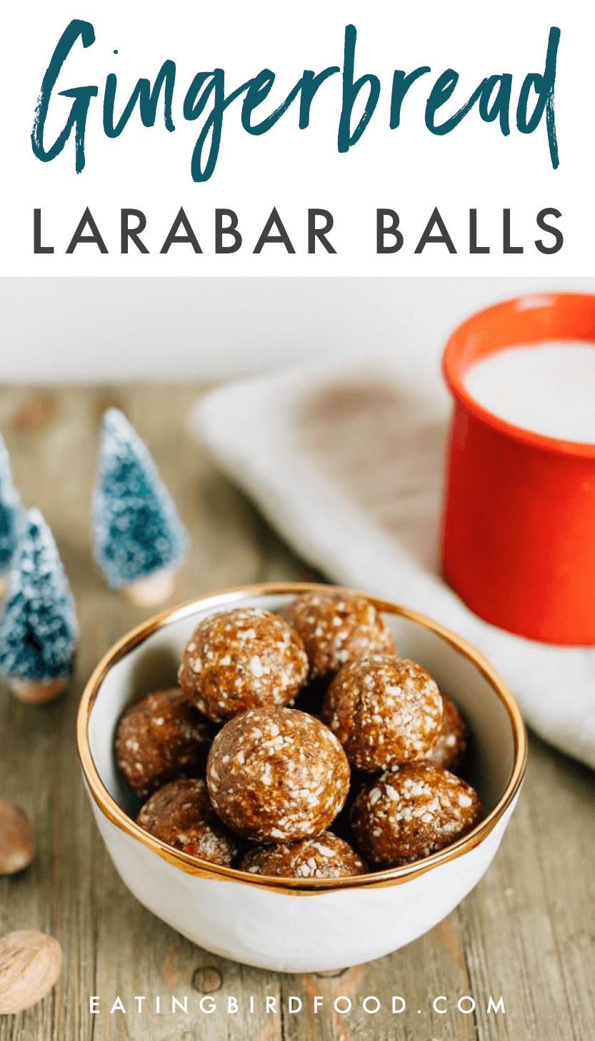 Gingerbread Energy Balls - Eating Bird Food