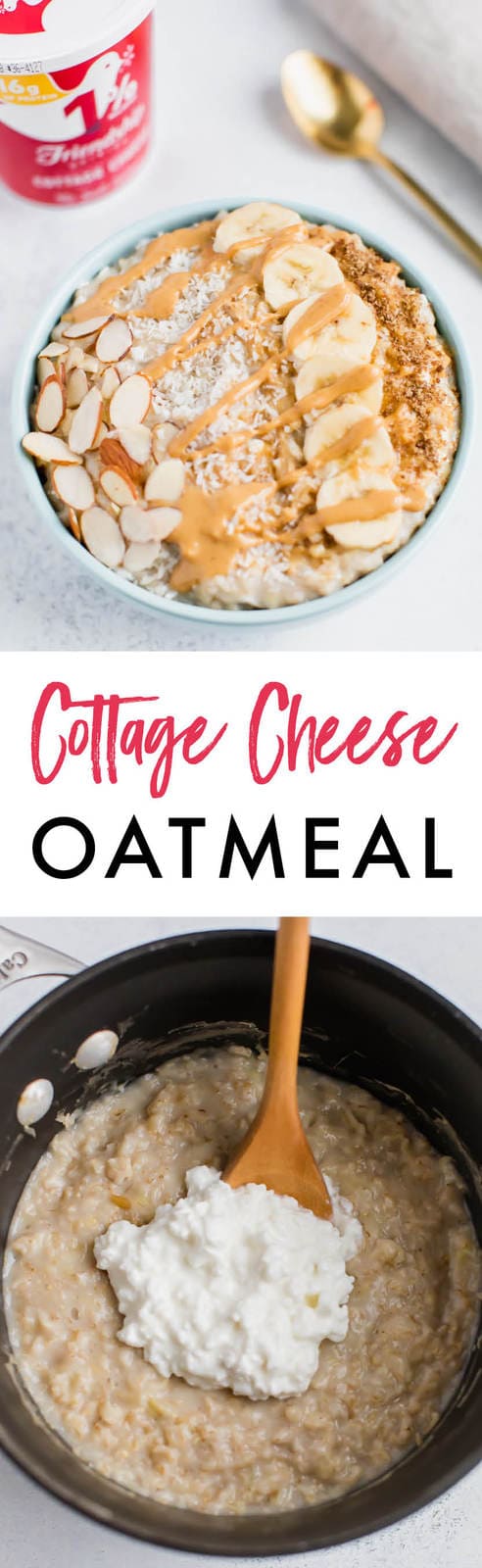 High Protein Cottage Cheese Oatmeal - Eating Bird Food