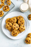 Lactation Cookies {to Boost Milk Supply} - Eating Bird Food