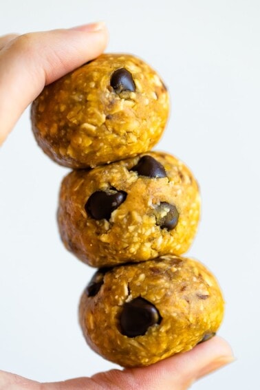 No Bake Lactation Bites - Eating Bird Food