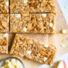 Apple Granola Bars - Eating Bird Food
