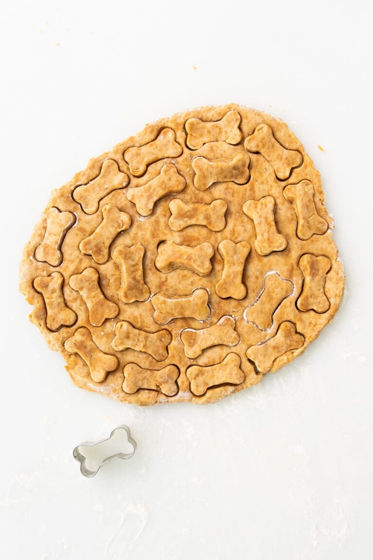 Homemade Peanut Butter Dog Treats - Eating Bird Food