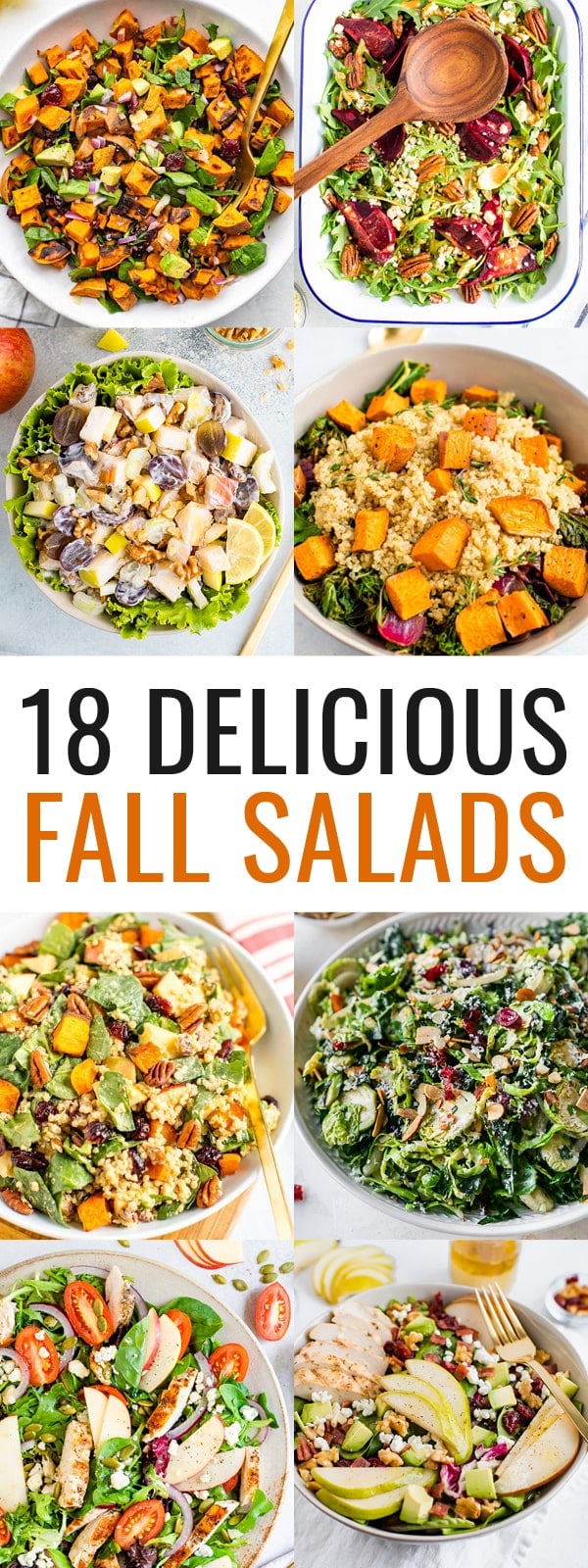 18 Delicious Fall Salads - Eating Bird Food