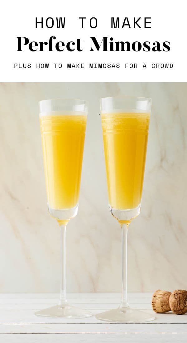 How to Make Perfect Mimosas - Eating Bird Food