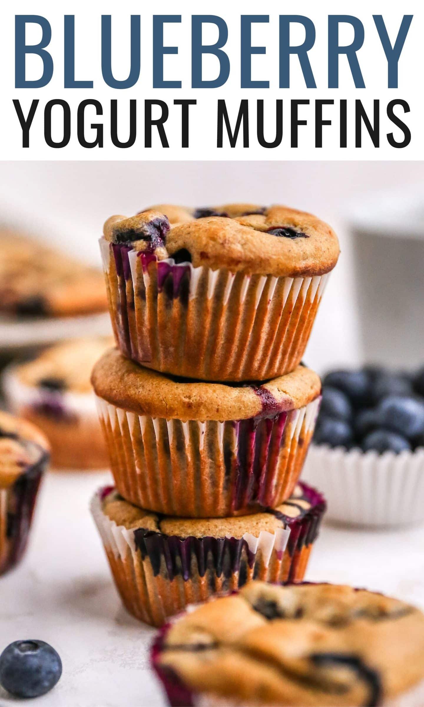 Blueberry Yogurt Muffins - Eating Bird Food