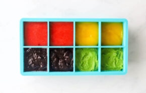 10 Baby Food Purees (Stage 1) - Eating Bird Food