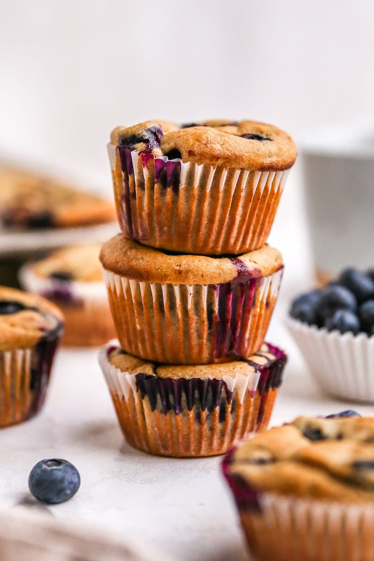 Blueberry Muffin Snack Pack