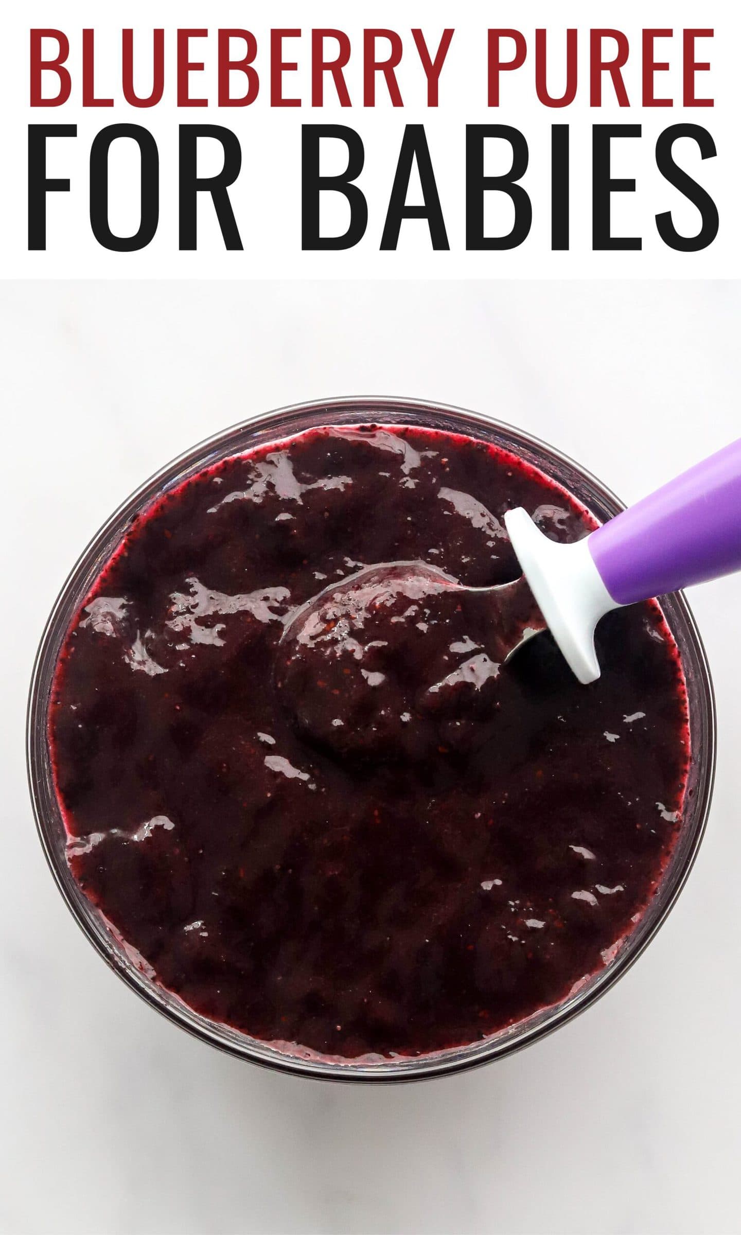 Blueberry Puree - Eating Bird Food