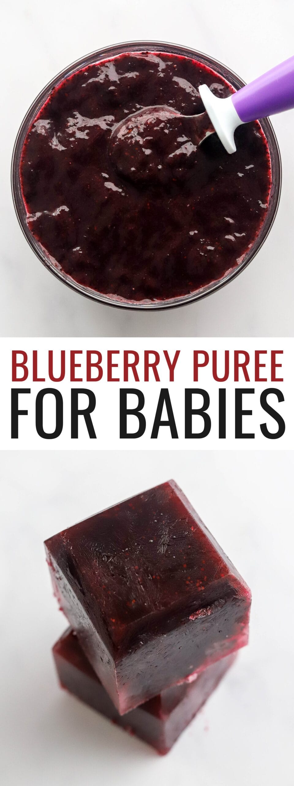 Blueberry Puree - Eating Bird Food
