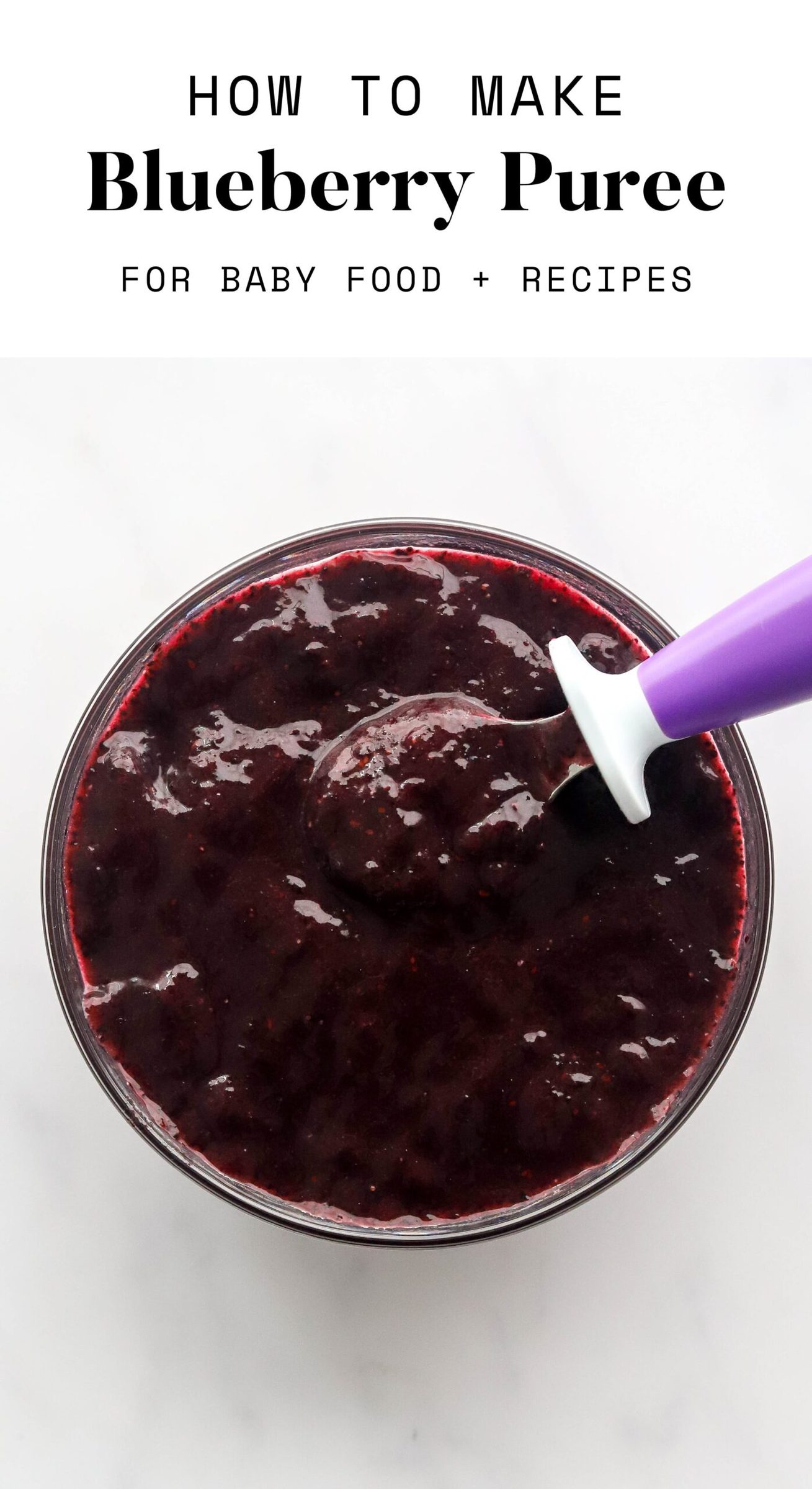 Blueberry Puree - Eating Bird Food