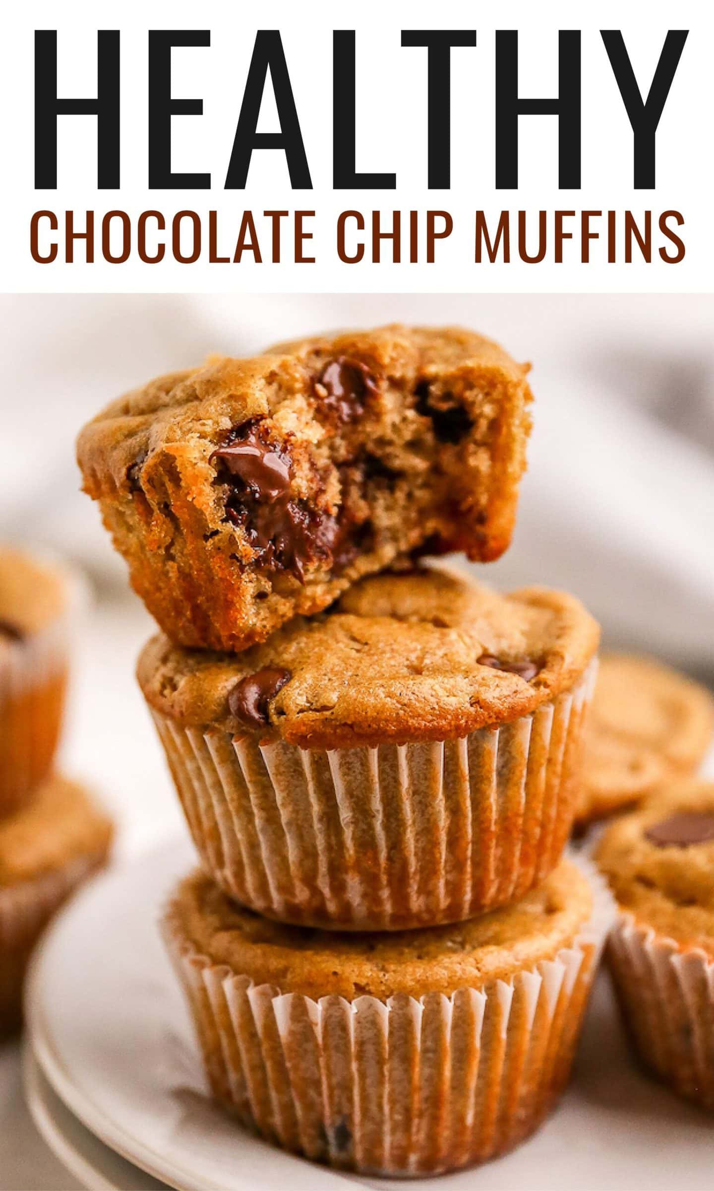 Healthy Chocolate Chip Muffins - Eating Bird Food