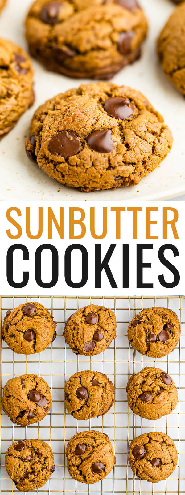 SunButter Cookies - Eating Bird Food