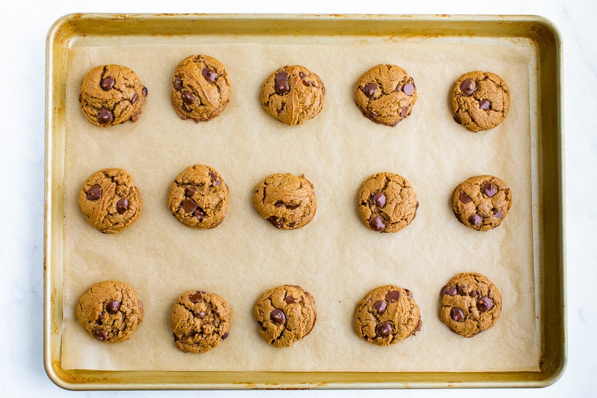 SunButter Cookies - Eating Bird Food
