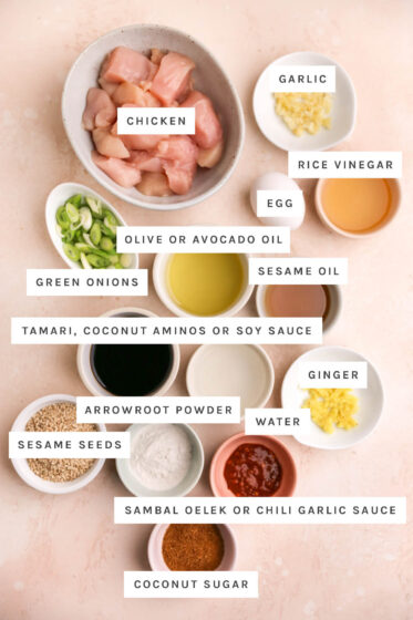 Sesame Chicken - Eating Bird Food