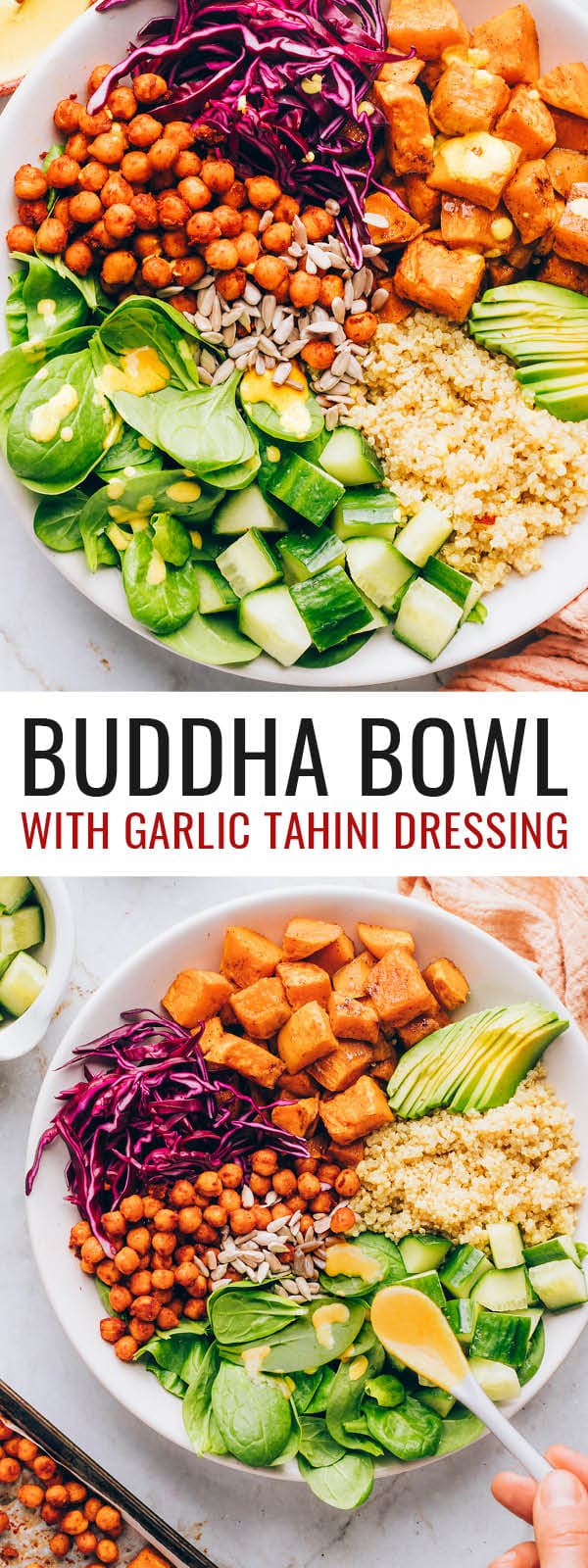 Buddha Bowl - Eating Bird Food