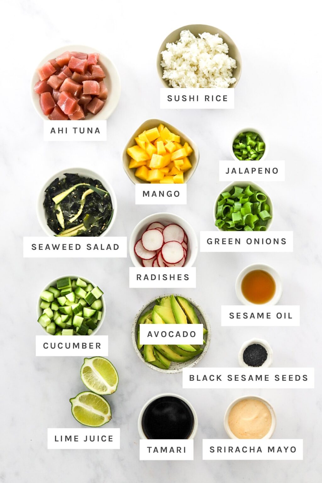 Poke Bowl - Eating Bird Food