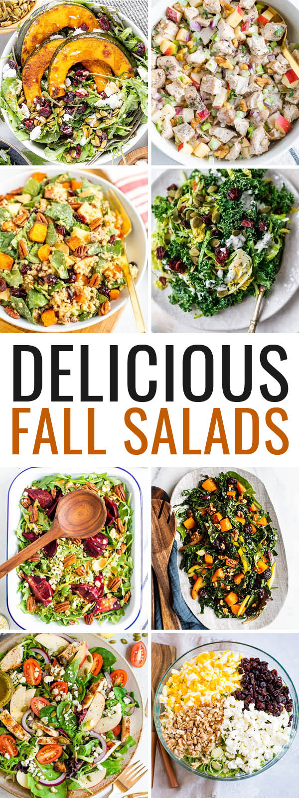 18 Delicious Fall Salads - Eating Bird Food