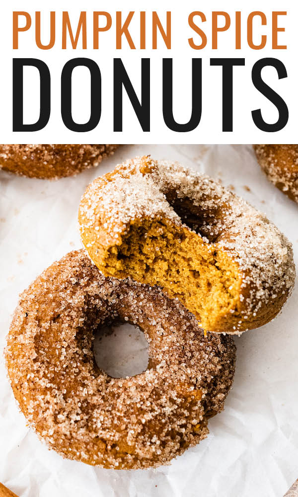 Pumpkin Spice Donuts - Eating Bird Food