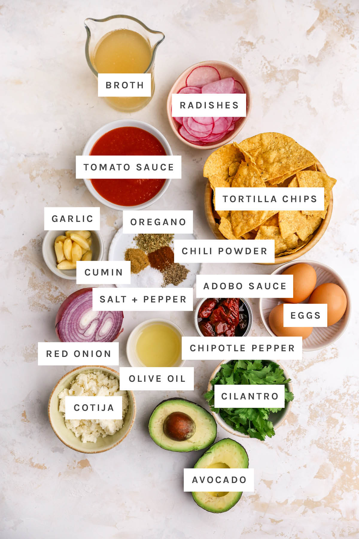 Red Chilaquiles - Eating Bird Food