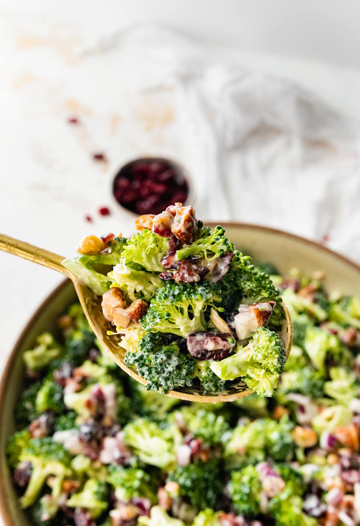 Broccoli Cranberry Salad - Eating Bird Food