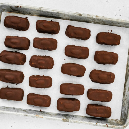 Almond Joy Bars - Eating Bird Food