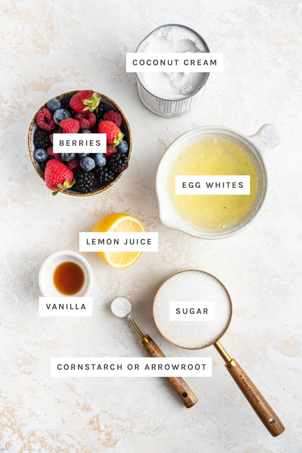 Pavlova - Eating Bird Food