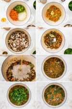 Mushroom Barley Soup - Eating Bird Food