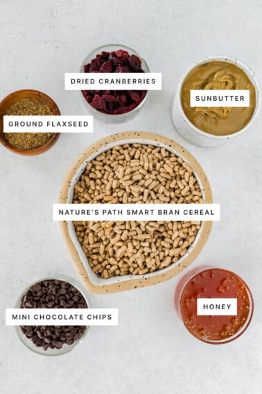 No Bake High Fiber Bars - Eating Bird Food