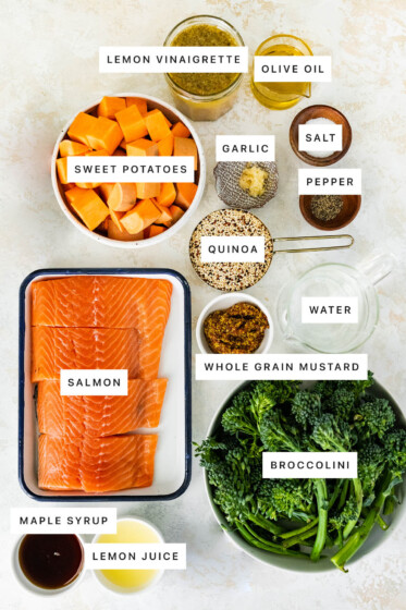 Easy Salmon Meal Prep Bowl - Eating Bird Food