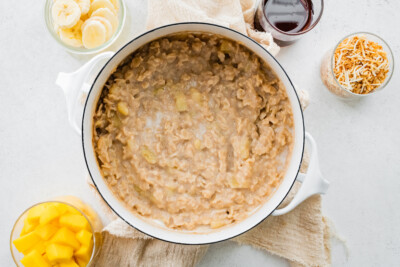 Tropical Oatmeal - Eating Bird Food