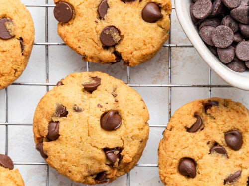 Chocolate chip cookie with coconut flour store