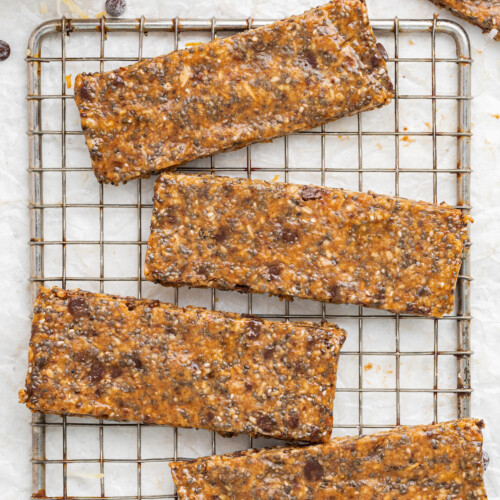 Toasted Coconut Chia Bars - Eating Bird Food