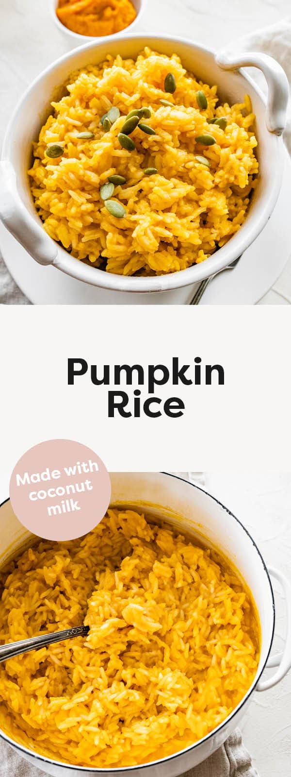 Pumpkin Rice - Eating Bird Food