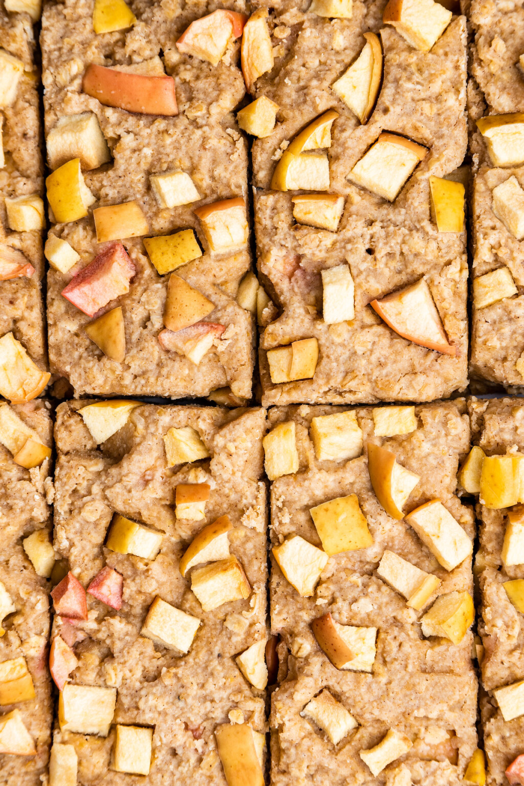 Apple Oatmeal Bars - Eating Bird Food