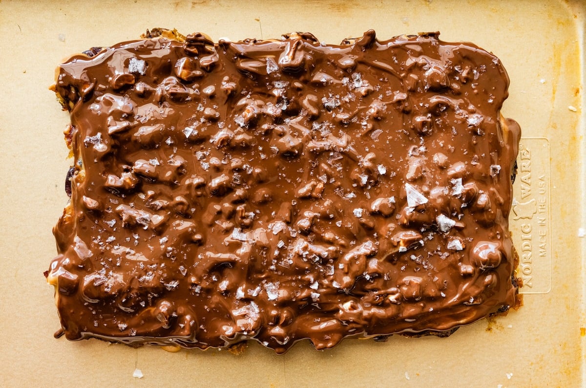 Date Bark (Viral Recipe) - Eating Bird Food