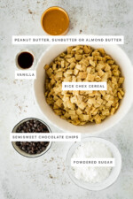 Puppy Chow (Muddy Buddies) - Eating Bird Food