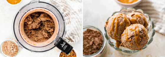 Chocolate Peanut Butter Ninja Creami Protein Ice Cream - Eating Bird Food