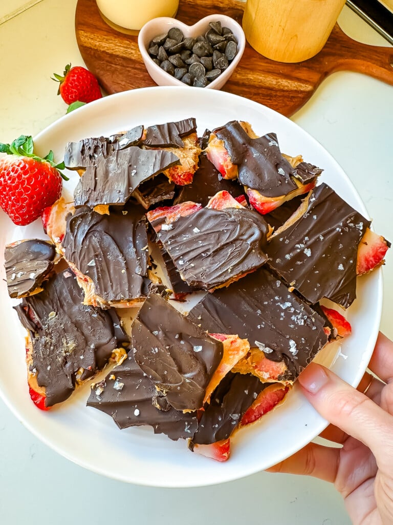 Chocolate Peanut Butter Strawberry Bark - Eating Bird Food