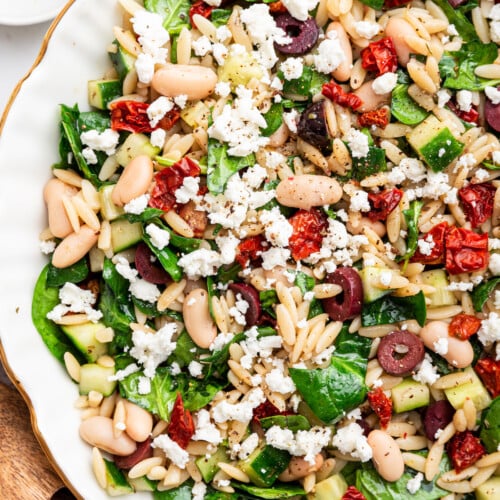 Mediterranean Orzo Salad - Eating Bird Food