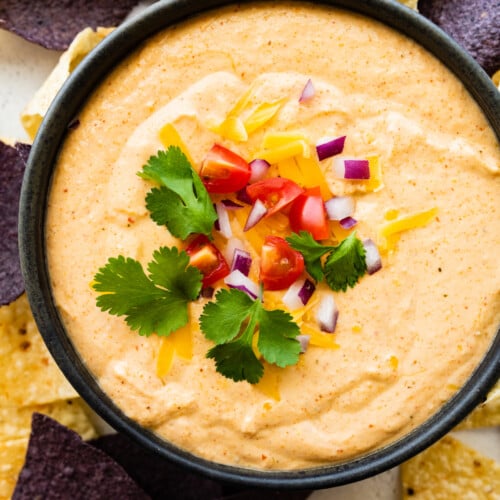 High Protein Cottage Cheese Queso - Eating Bird Food