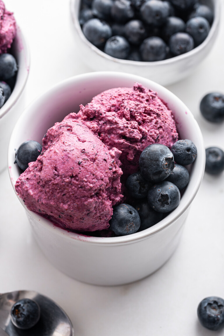 3 Ingredient Blueberry Frozen Yogurt - Eating Bird Food