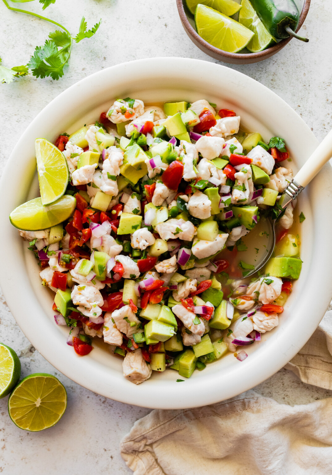 Easy Ceviche - Eating Bird Food