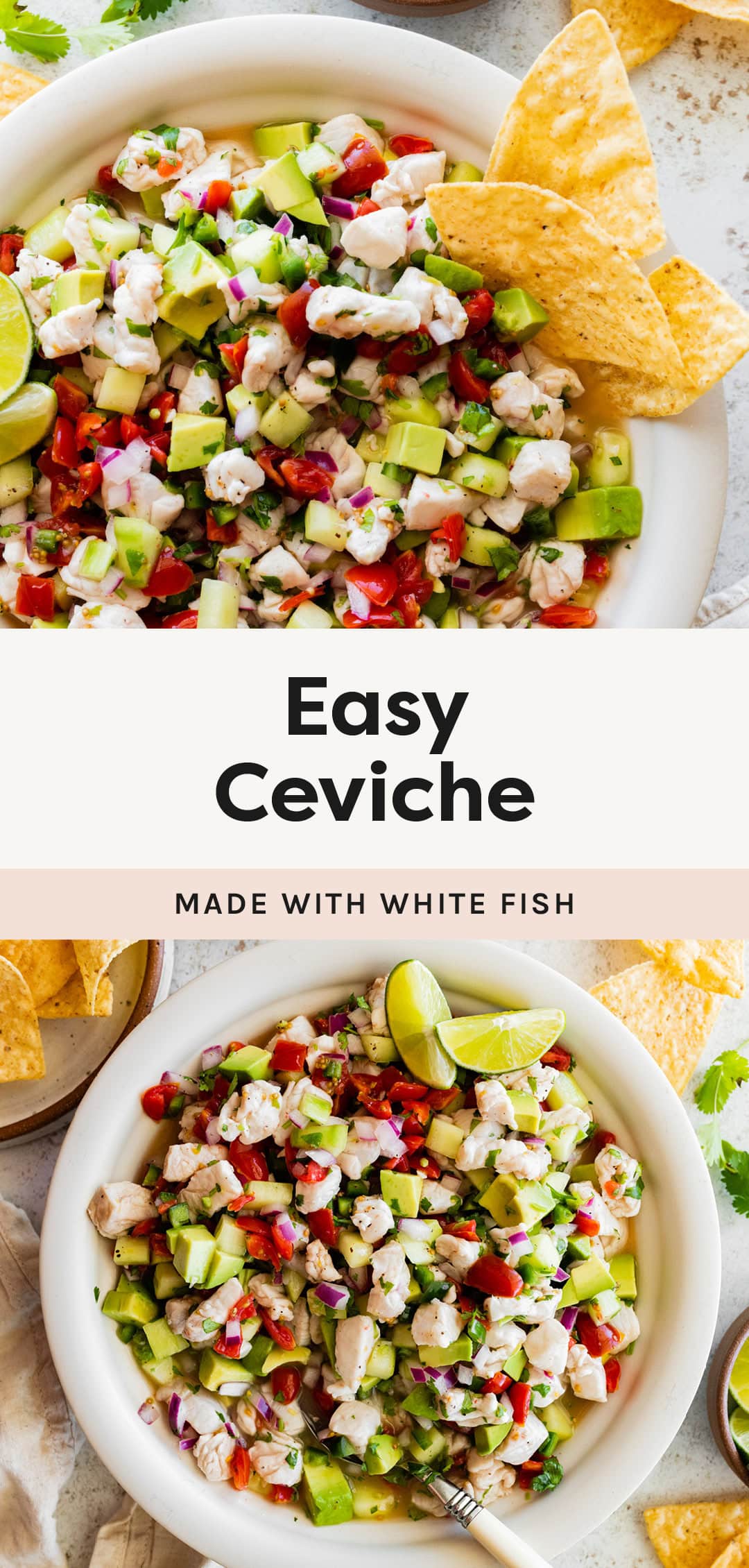 Easy Ceviche - Eating Bird Food