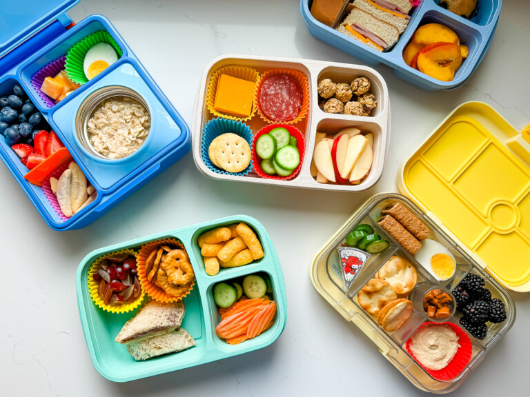 Kid's Lunch Box Ideas: What to Pack, Tips and Recipes - Eating Bird Food