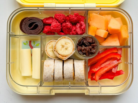 Kid's Lunch Box Ideas: What to Pack, Tips and Recipes - Eating Bird Food