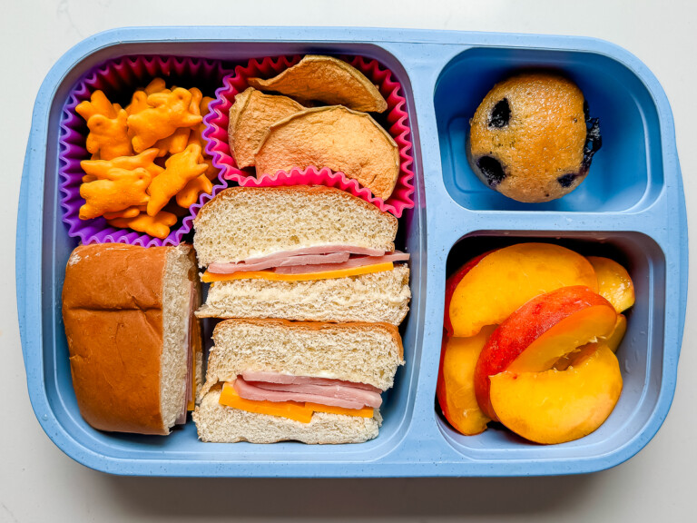 Kid's Lunch Box Ideas: What to Pack, Tips and Recipes - Eating Bird Food